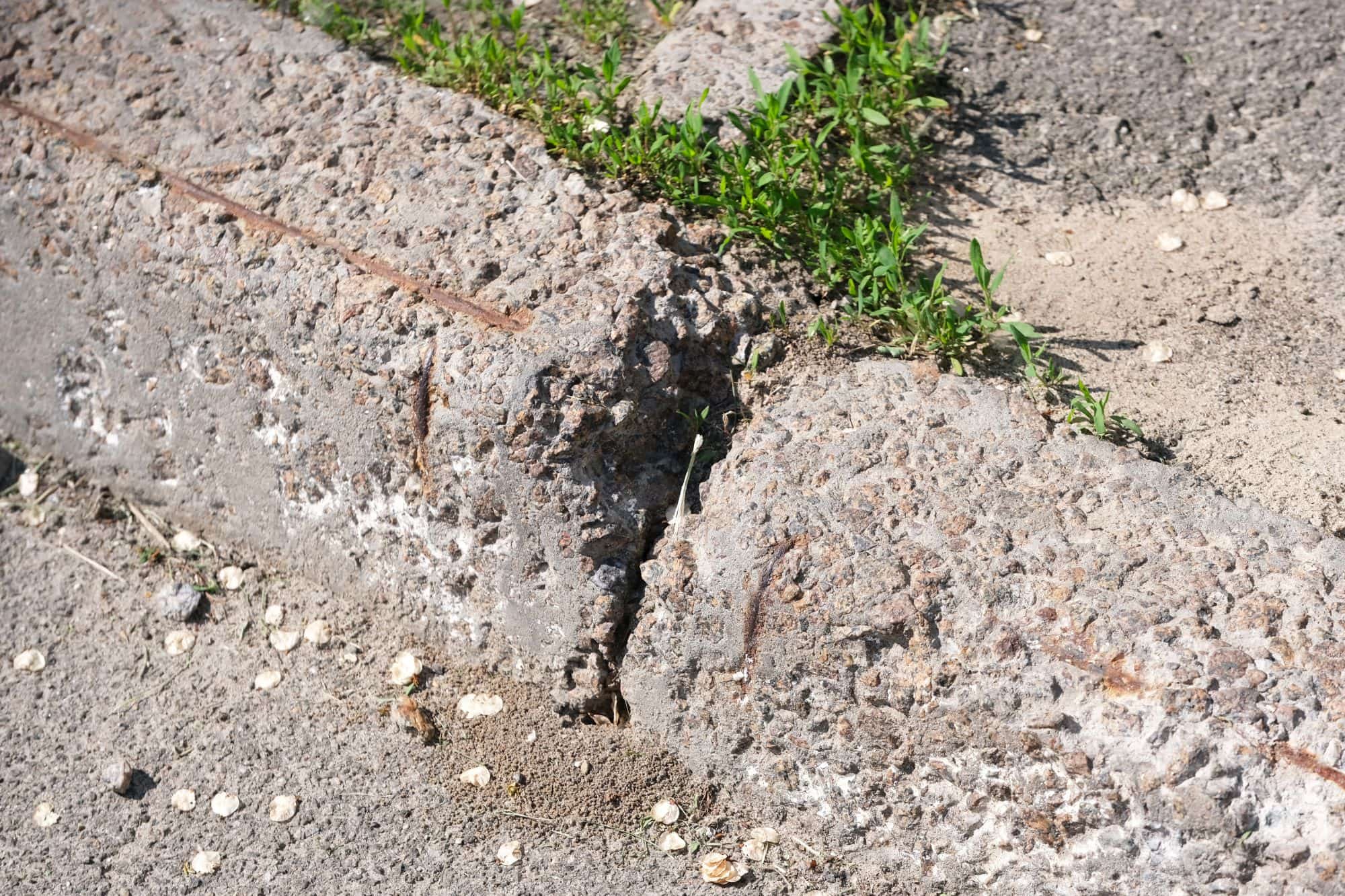 Concrete Curb Repair Houston TX | Lucky’s Concrete Services